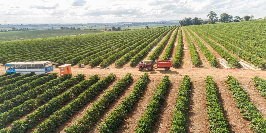 Desenrola Rural supera meta e renegocia quase R$ 12 bilhões em dívidas ...