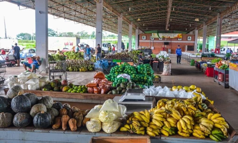 Frutas e hortaliças movimentam o mercado da Ceasa nesta segunda-feira ...