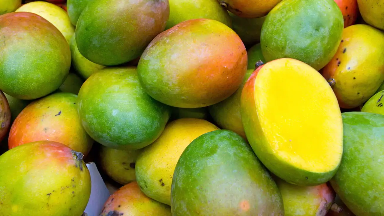 Manga foi a fruta mais exportada pelo Brasil em 2025 - ac24agro