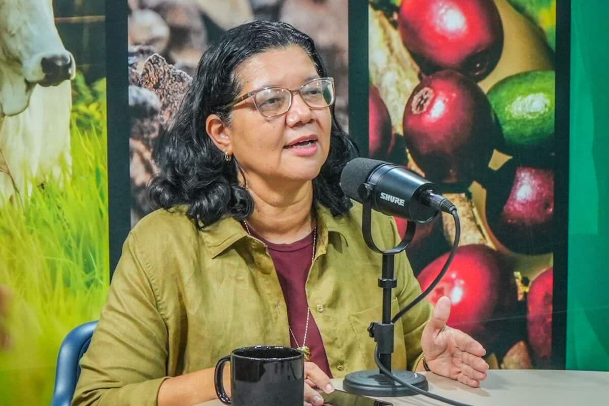 Qual verbo tem a força de mudar o mundo? - ac24agro