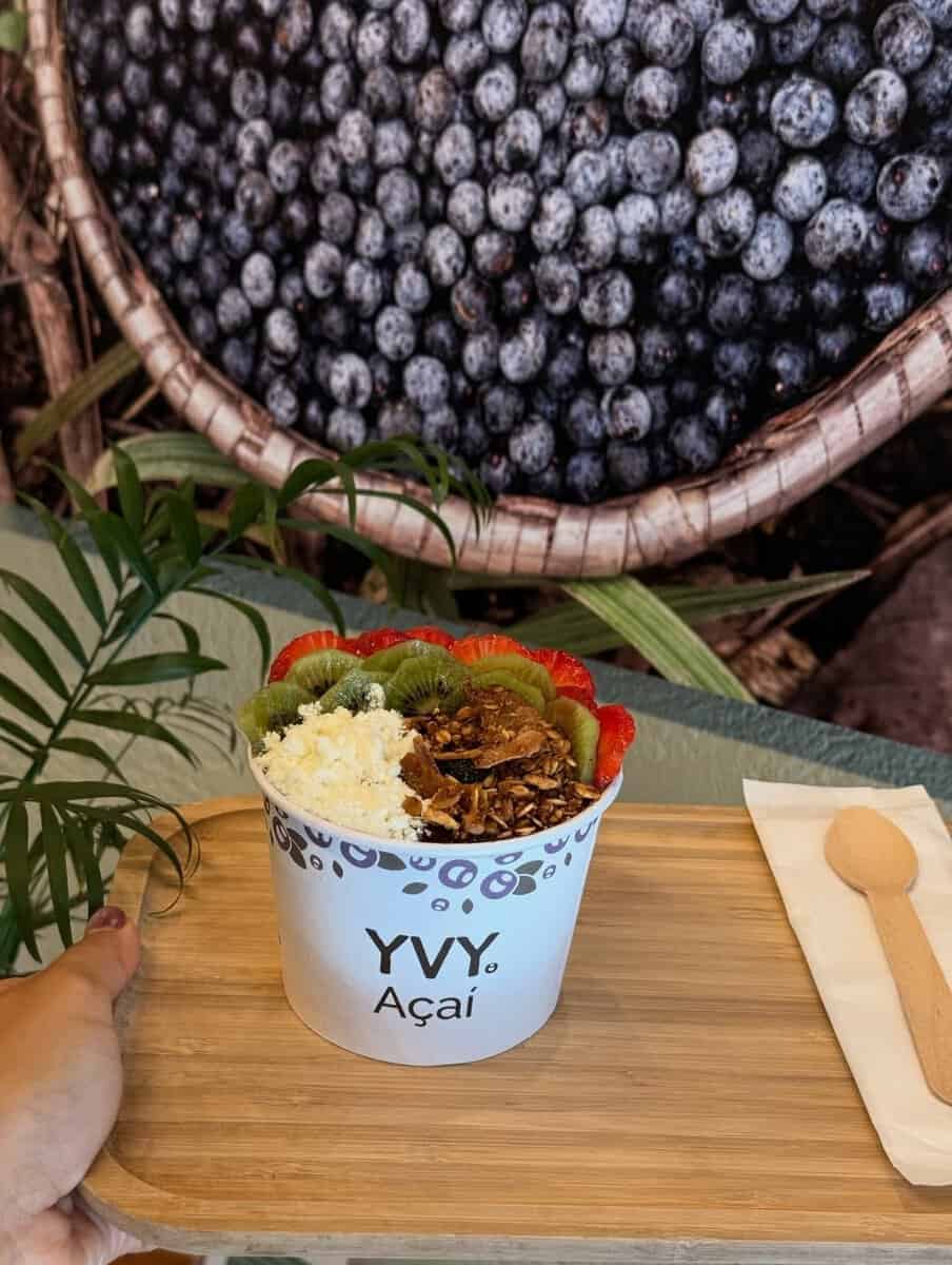 Indústria de beneficiamento de açaí Yvy inicia operação em 30 dias em ...
